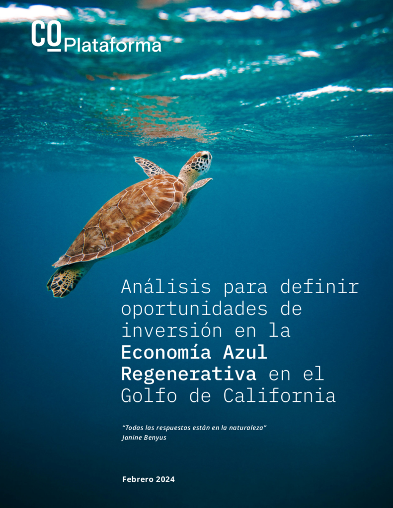 Knowledge Sharing - CO_