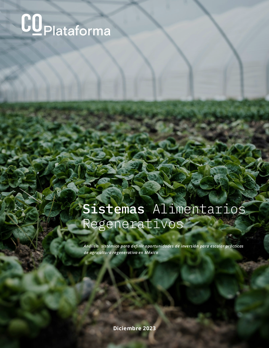 Knowledge Sharing - CO_